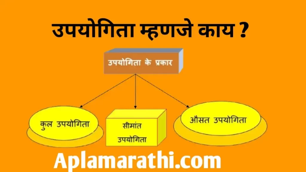 उपयोगिता म्हणजे काय ? उपयोगितेची वैशिष्ट्ये ,उपयोगितेचे प्रकार - एकूण उपयोगिता आणि सीमांत ...