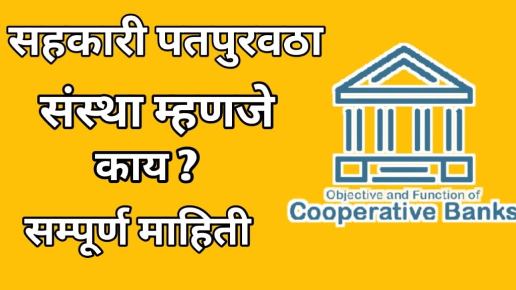 सहकारी पतपुरवठा संस्था म्हणजे काय ? सहकारी पतपुरवठा संस्थेचे कार्य ...